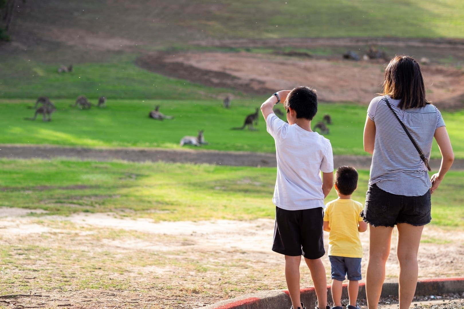 Family of Origin Coaching | Systems In Ministry